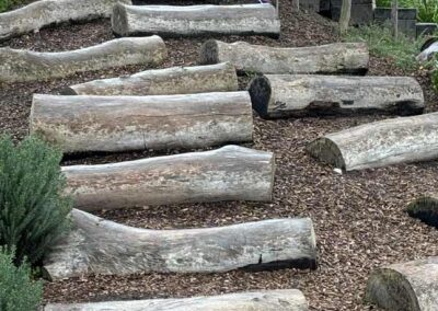 Tanunda Recreation Park - Nature Playground - Spruce Quality Decks