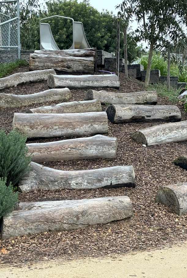 Tanunda Recreation Park - Nature Playground - Spruce Quality Decks